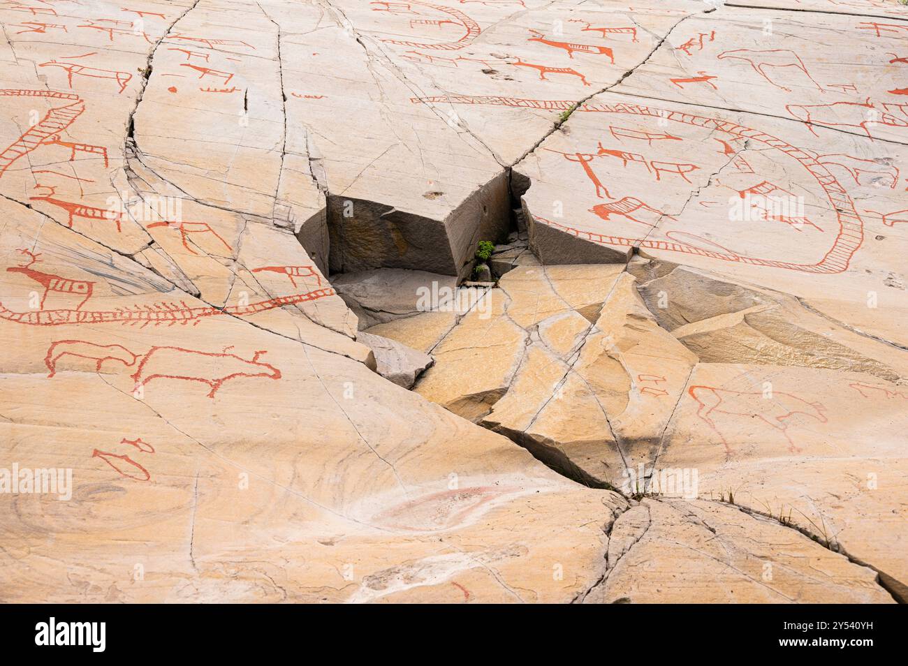 samples of the rock carvings inside the World Heritage Rock Art Centre ...