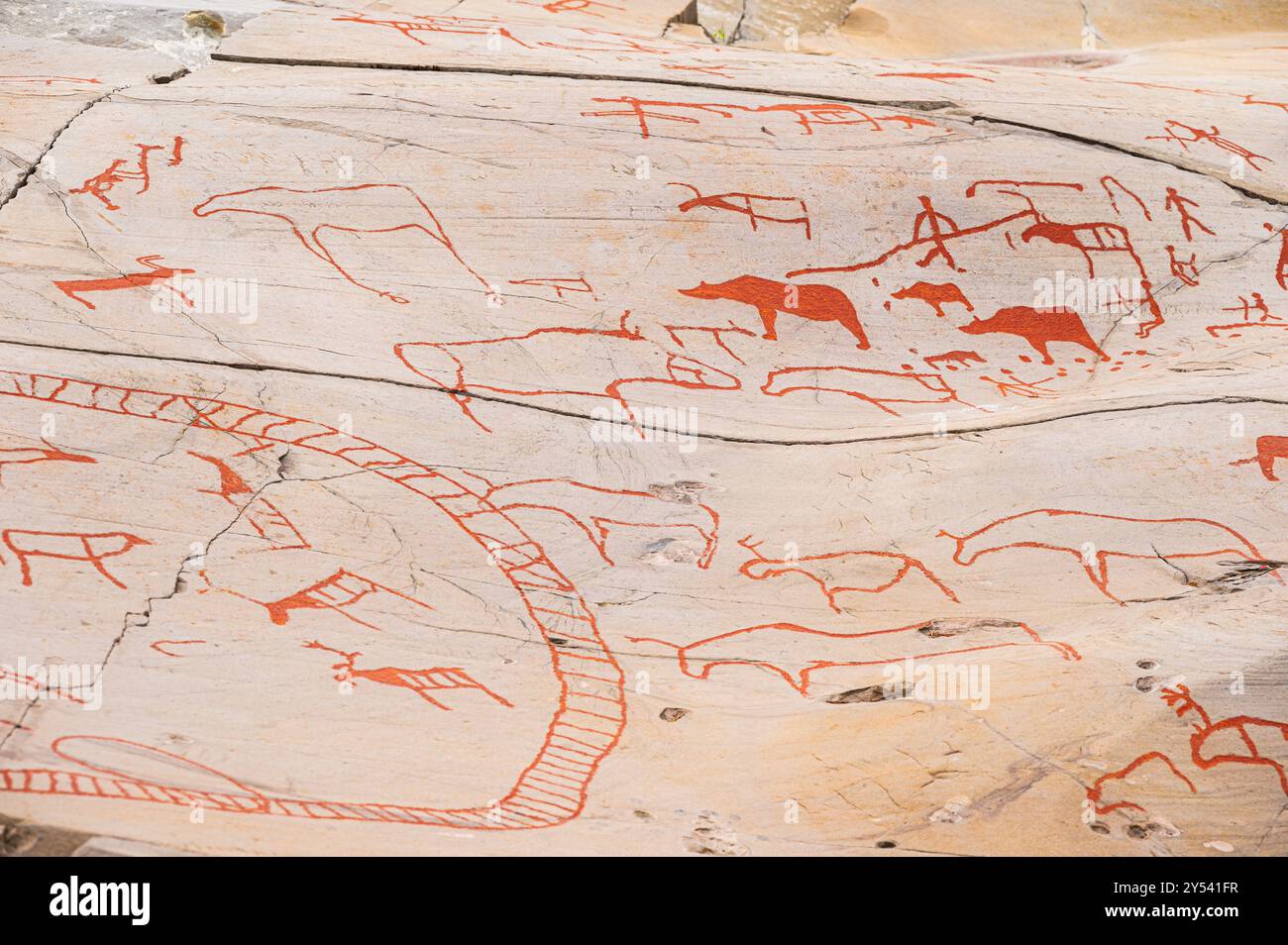 samples of the rock carvings inside the World Heritage Rock Art Centre ...