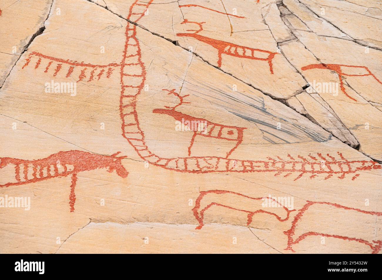 samples of the rock carvings inside the World Heritage Rock Art Centre ...