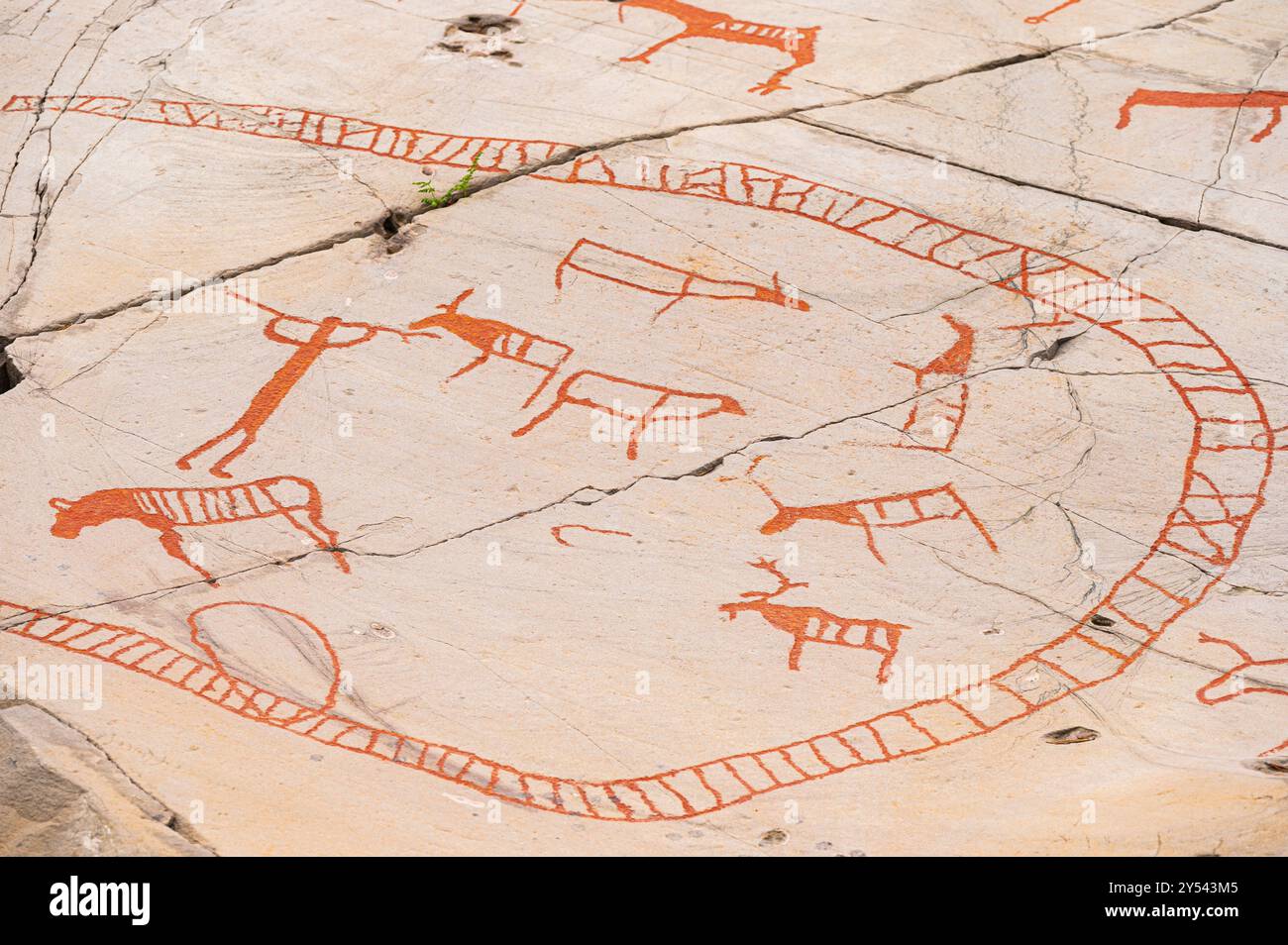 samples of the rock carvings inside the World Heritage Rock Art Centre ...