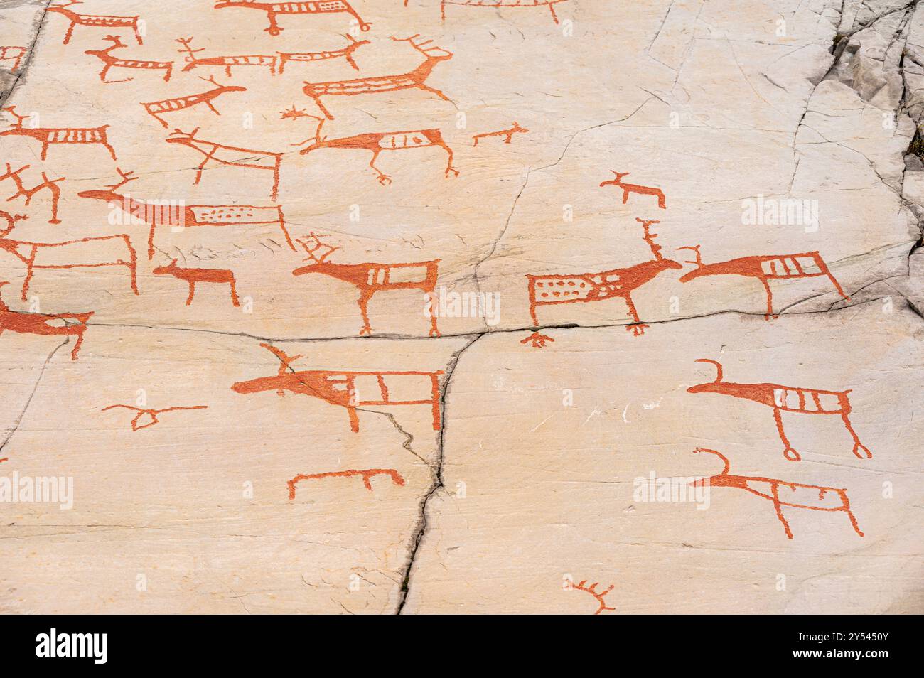 samples of the rock carvings inside the World Heritage Rock Art Centre ...