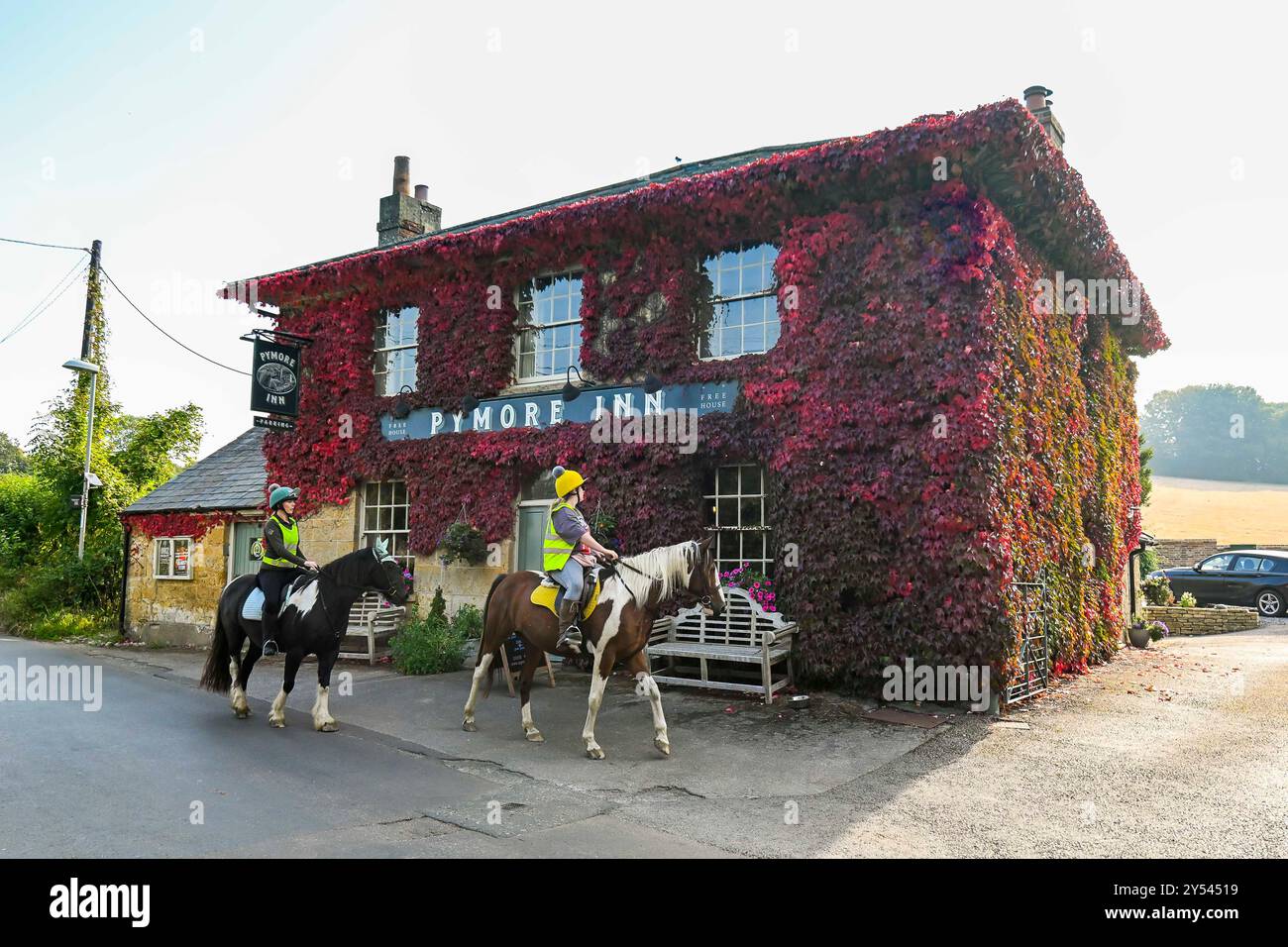 Pymore, Bridport, Dorset, UK. 20th September 2024. UK Weather. Horse ...