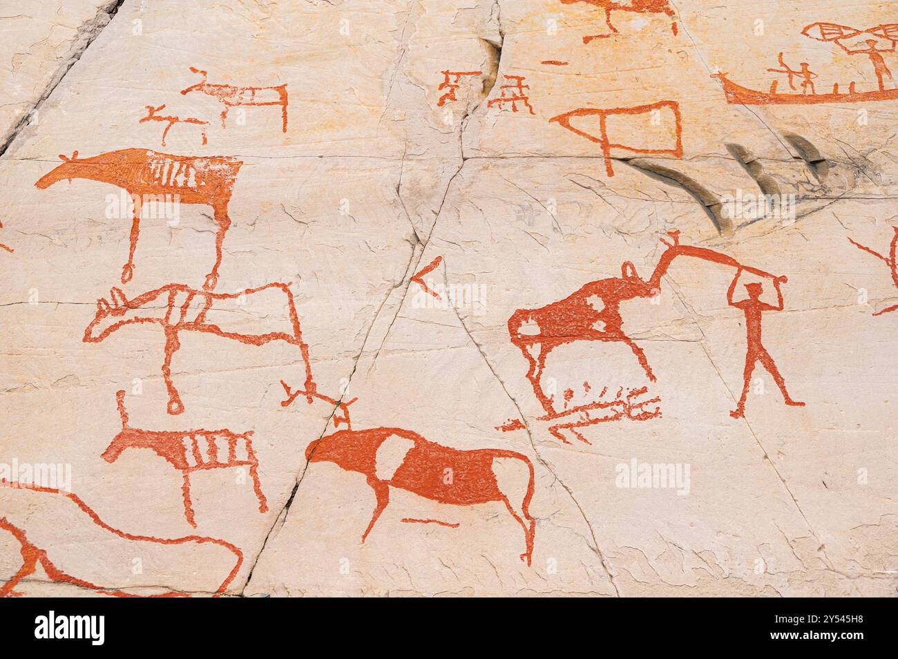 samples of the rock carvings inside the World Heritage Rock Art Centre ...