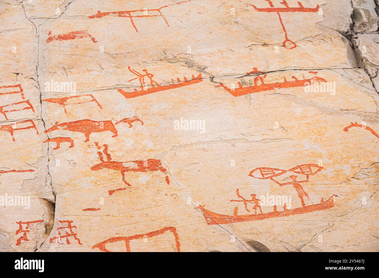 samples of the rock carvings inside the World Heritage Rock Art Centre ...