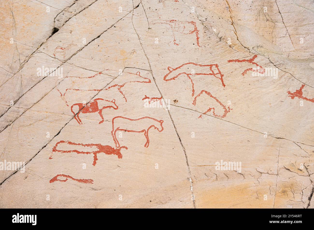 samples of the rock carvings inside the World Heritage Rock Art Centre ...
