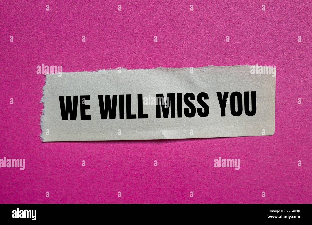 We will miss you message written on ripped torn paper piece with pink background. Conceptual we ...