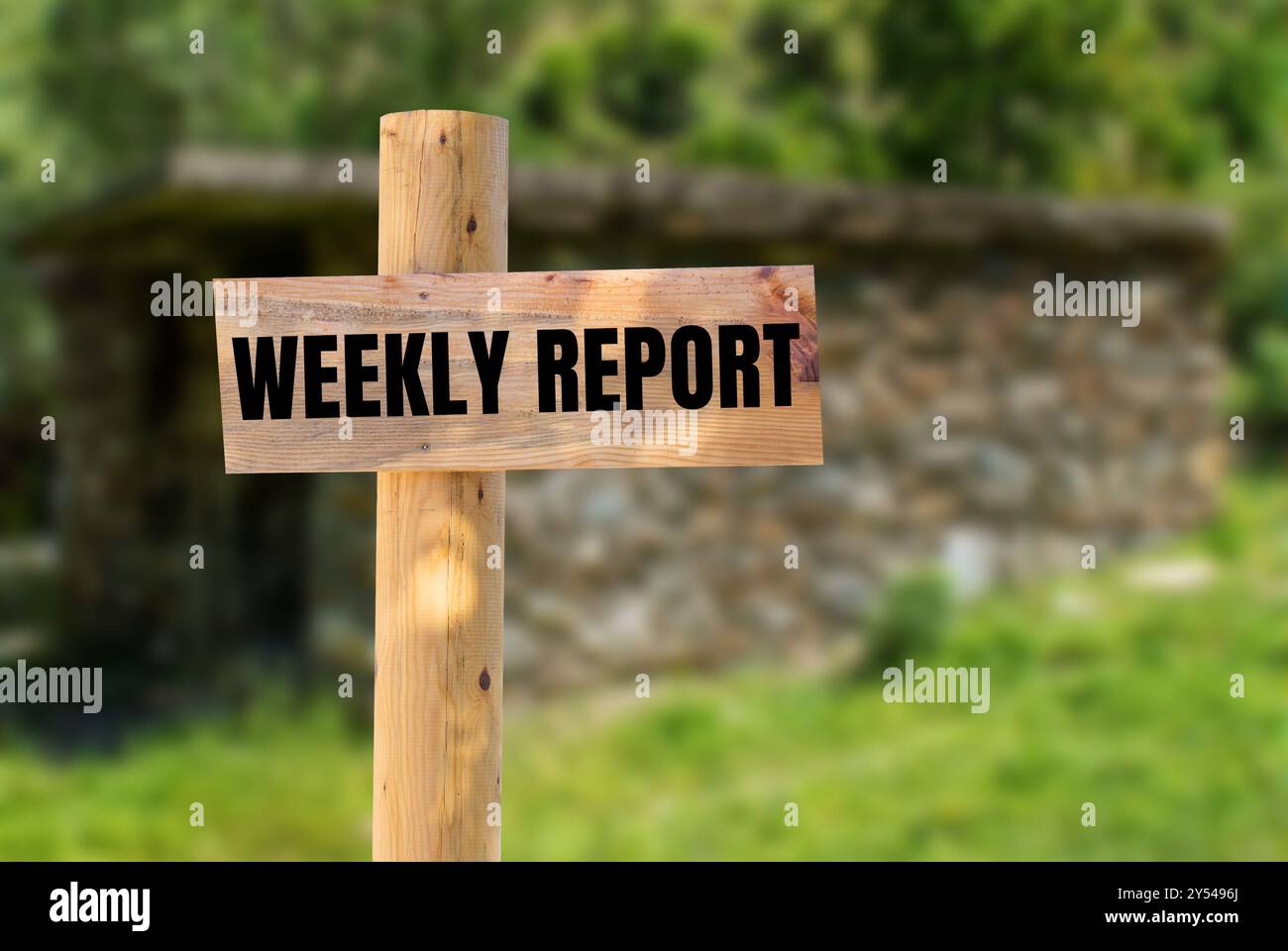 Weekly report message written on wooden sign with nature background ...