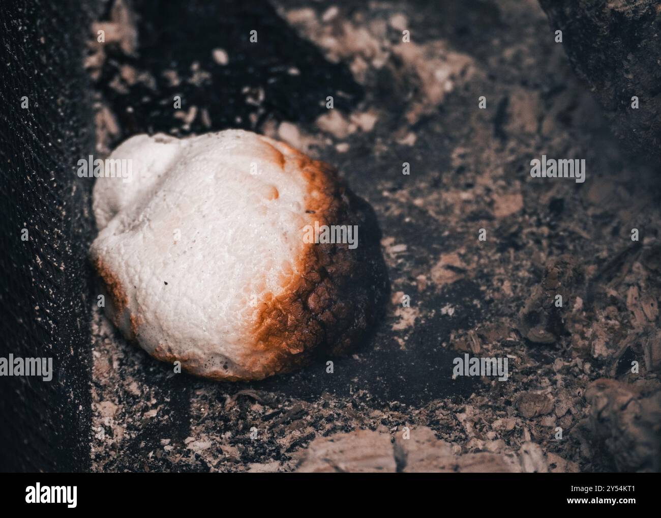 Grilling season in nature hi-res stock photography and images - Alamy