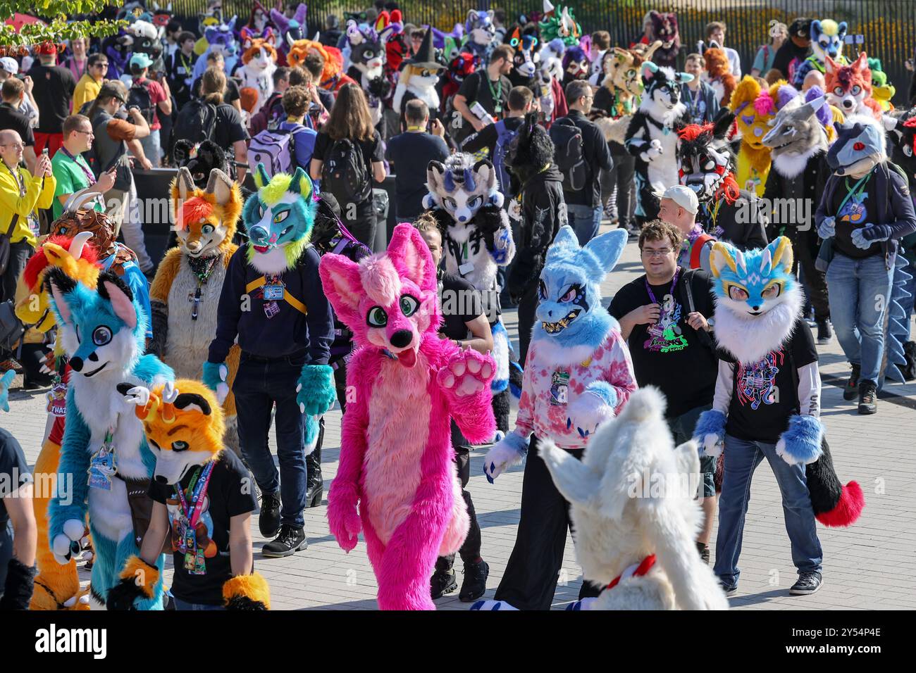 20 September 2024, Hamburg: Attendees of the Eurofurence Convention in ...