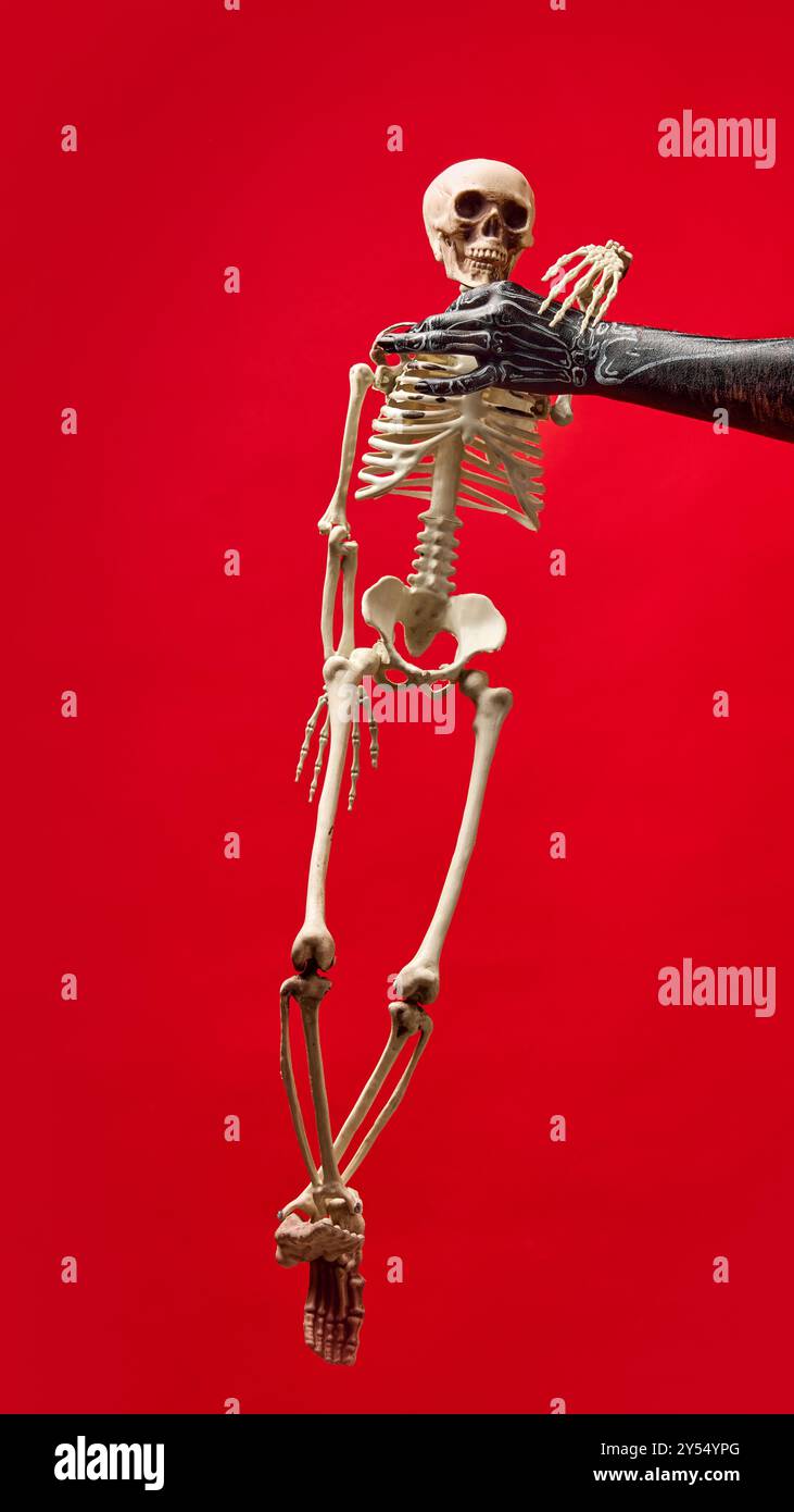 Skeletal human hand interacting with skeleton against red background ...