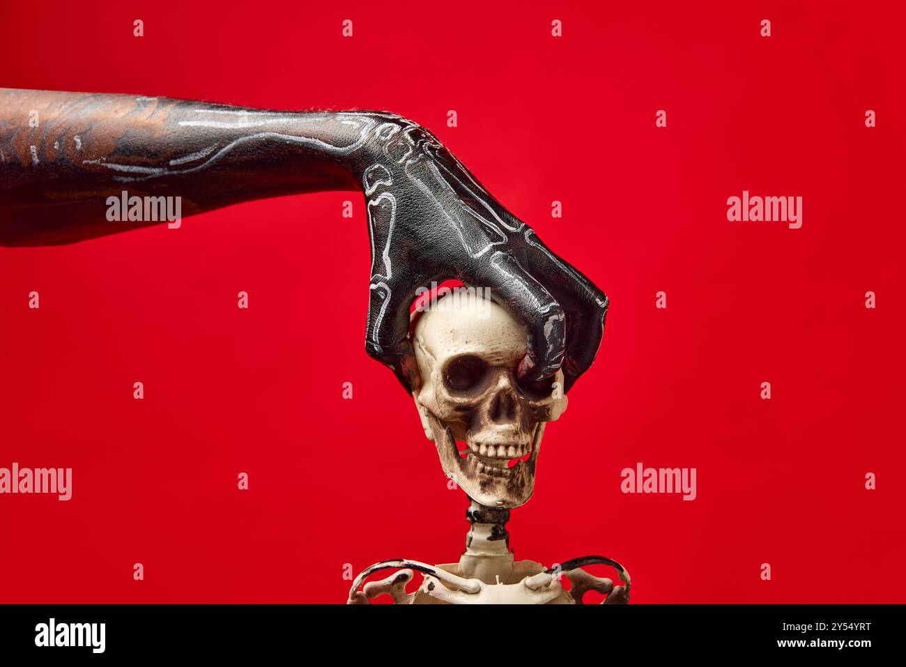 Skeletal human hand interacting with skeleton against red background ...