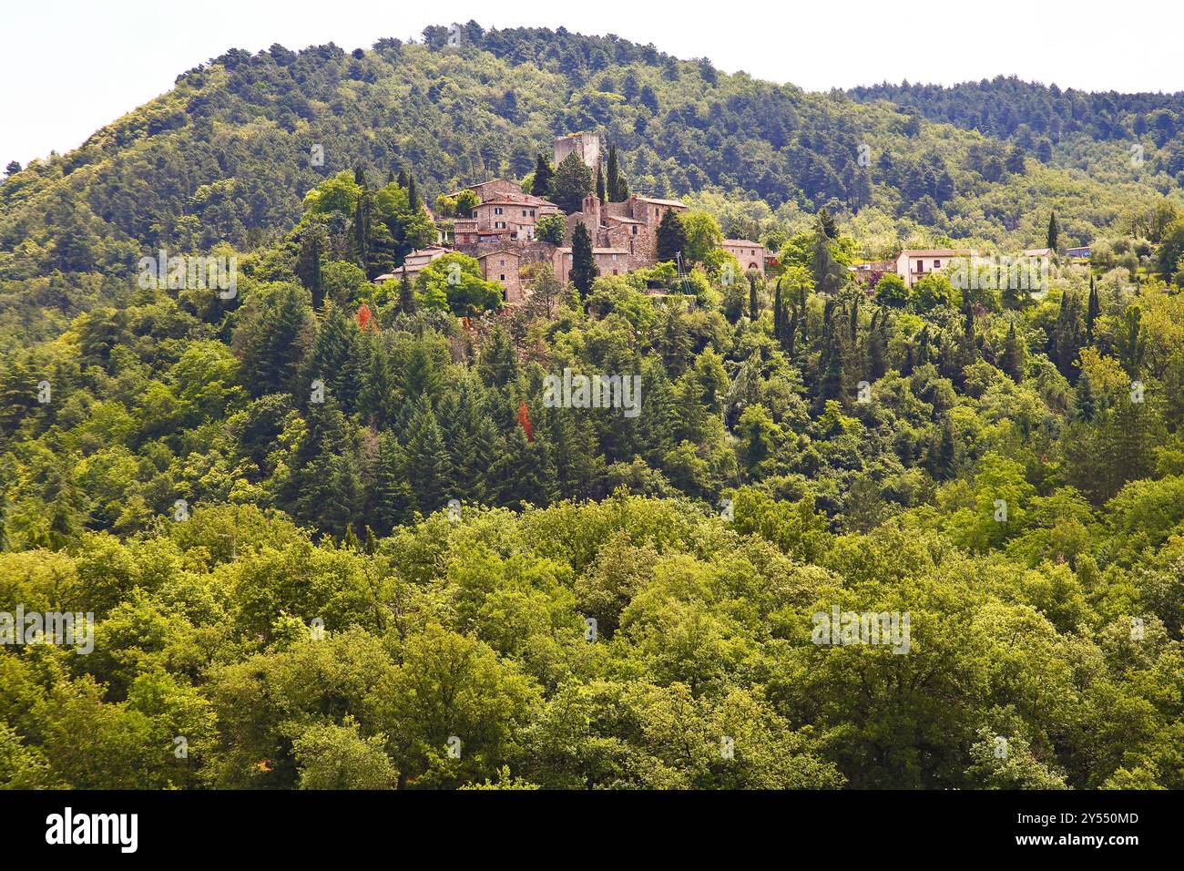 Barbischio castle overlooking the town of Gaiole in Chianti, the ...