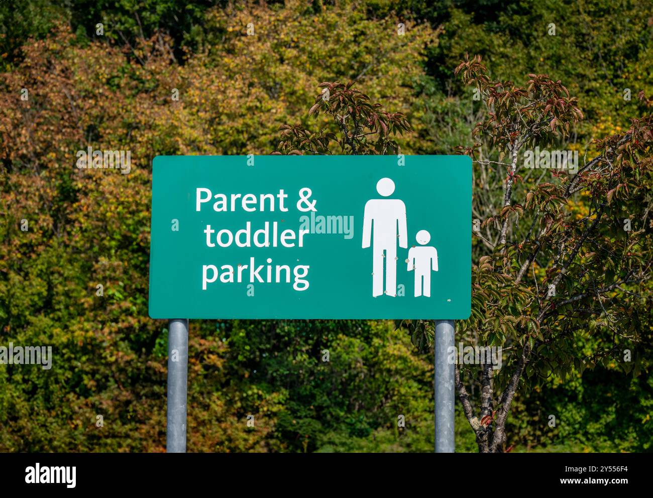 Sign indicating parking reserved for parents with toddlers Stock Photo ...
