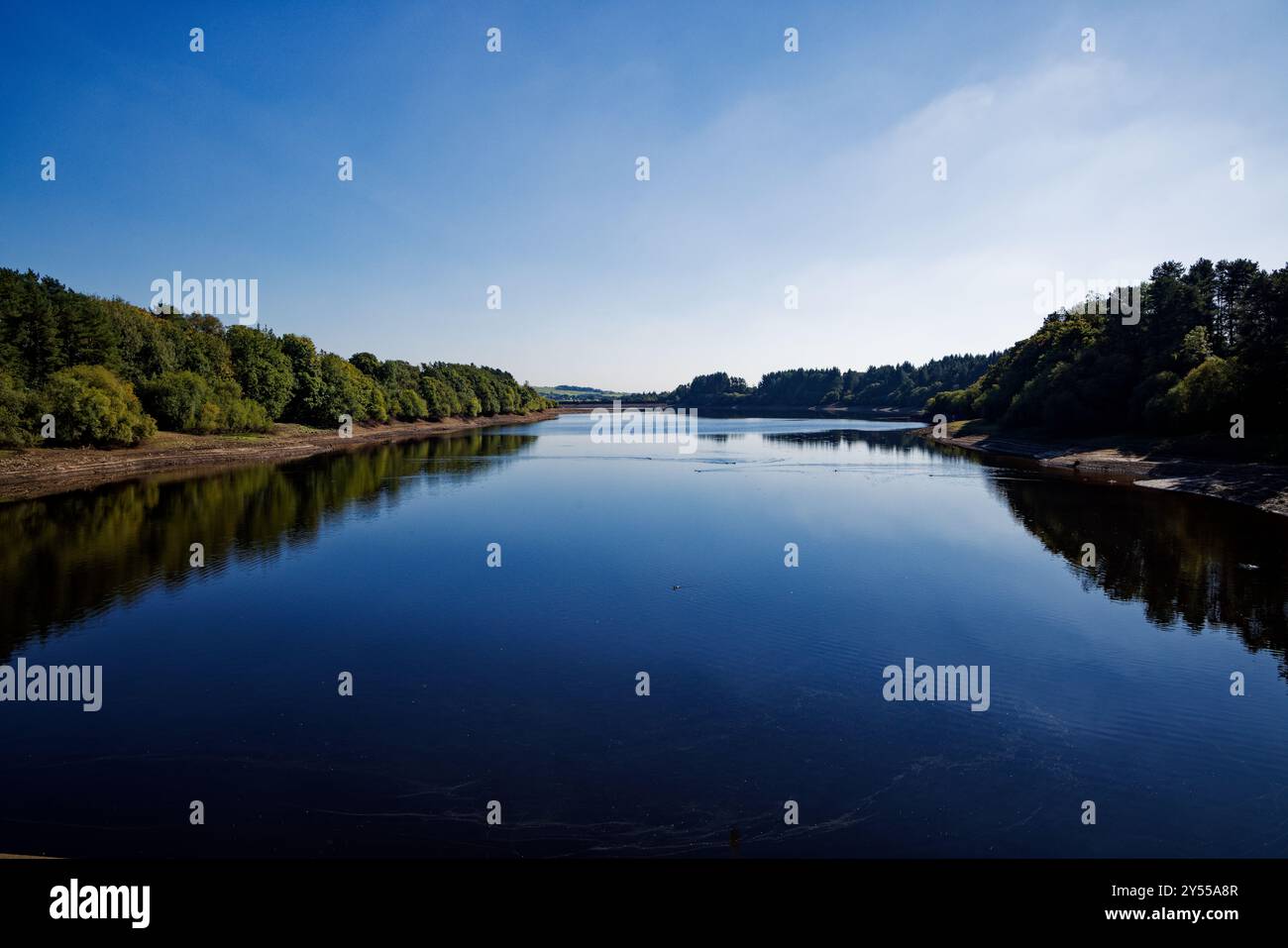 A still blue day at Wayoh Reservoir Stock Photo - Alamy