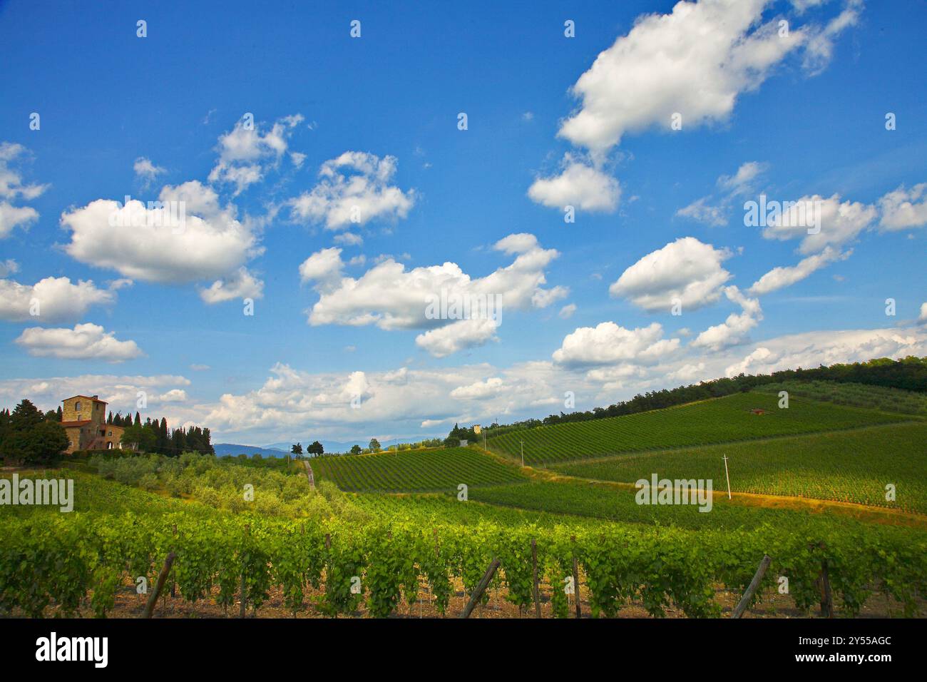 Landscape of the Chianti region, between Florence and Siena, famous for ...
