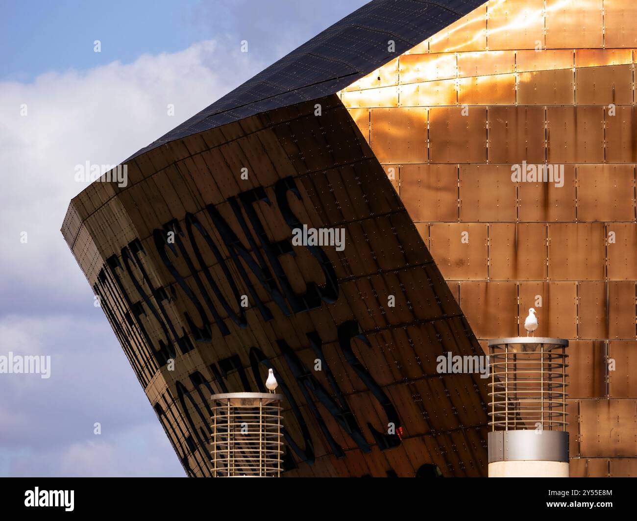 Copper cladding hi-res stock photography and images - Alamy