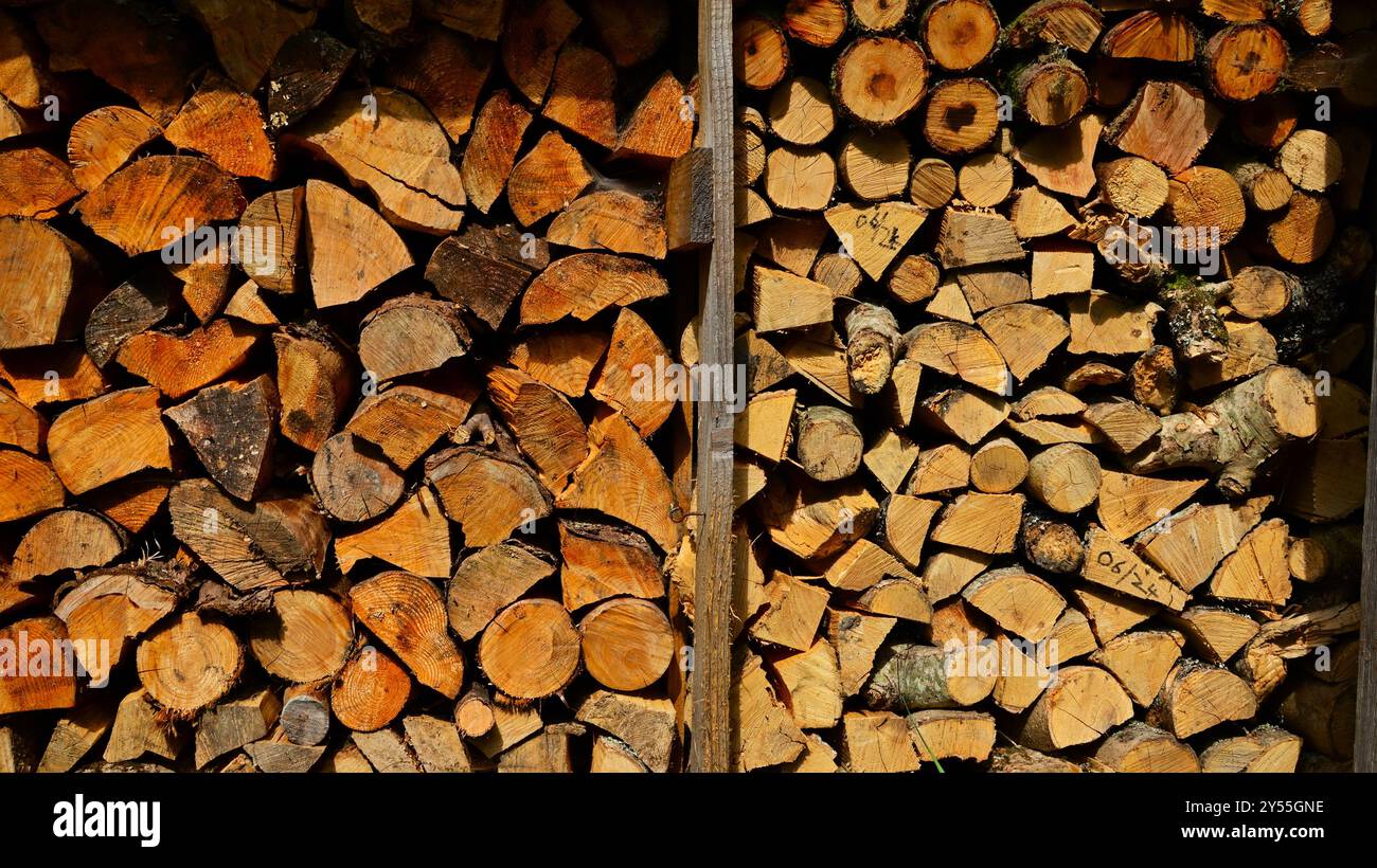 Log Shed with various logs seasoning ready for burning in the winter ...
