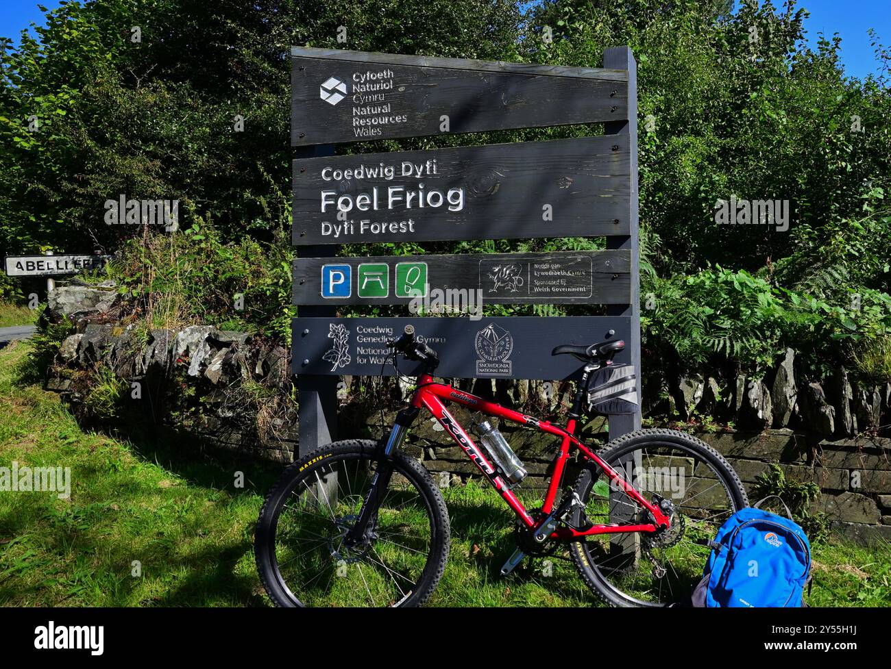 Natural Resources Wales sign post for walk in the Dyfi Forest starting ...