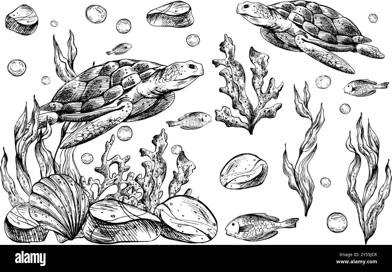 Underwater world clipart with sea animals turtle, fish, pebbles ...