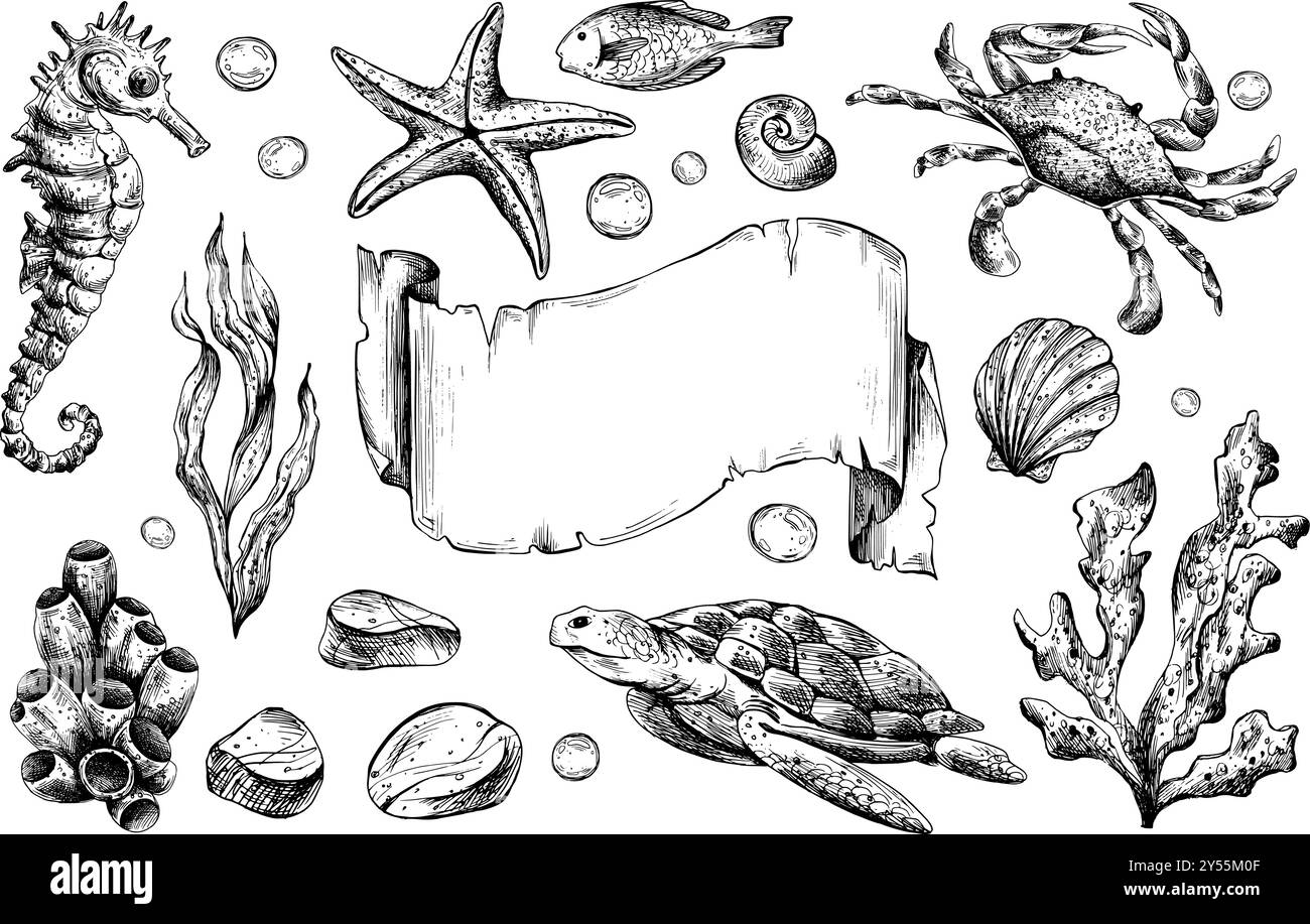 Seahorse, crab, turtle, shells, starfish, fish, bubbles, pebbles, other ...