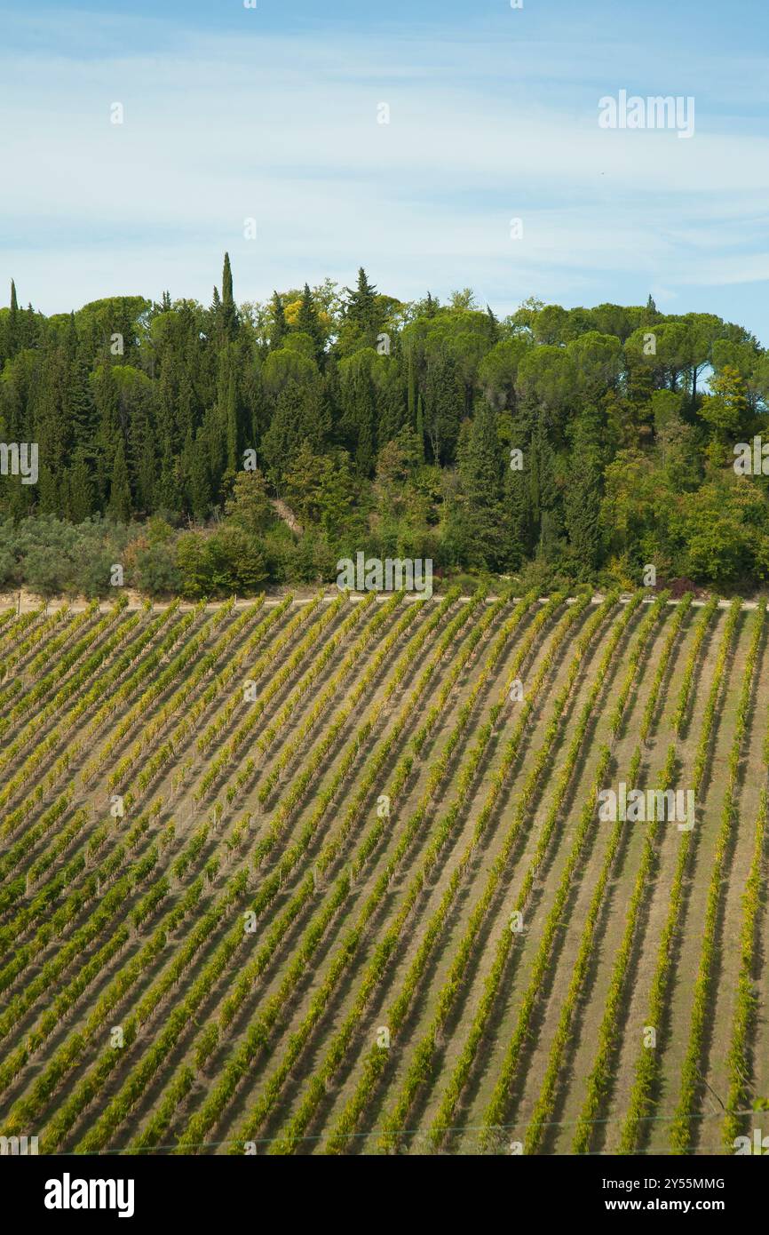 The Abbey of San Michele Arcangelo in a monastery of Passignano ...