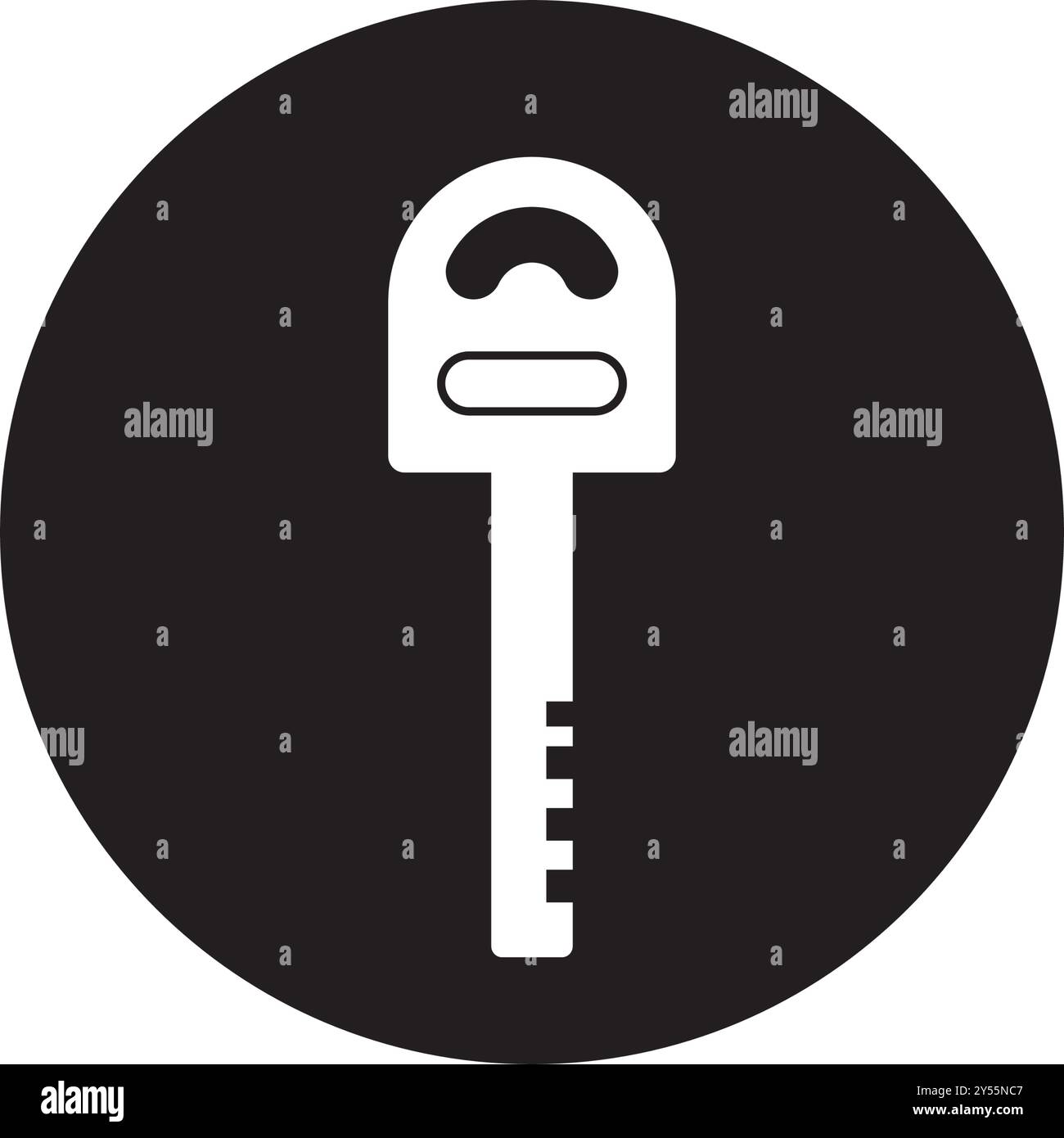 Key element Cut Out Stock Images & Pictures - Alamy