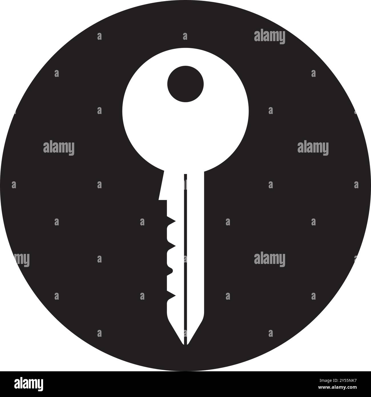 Key element Cut Out Stock Images & Pictures - Alamy