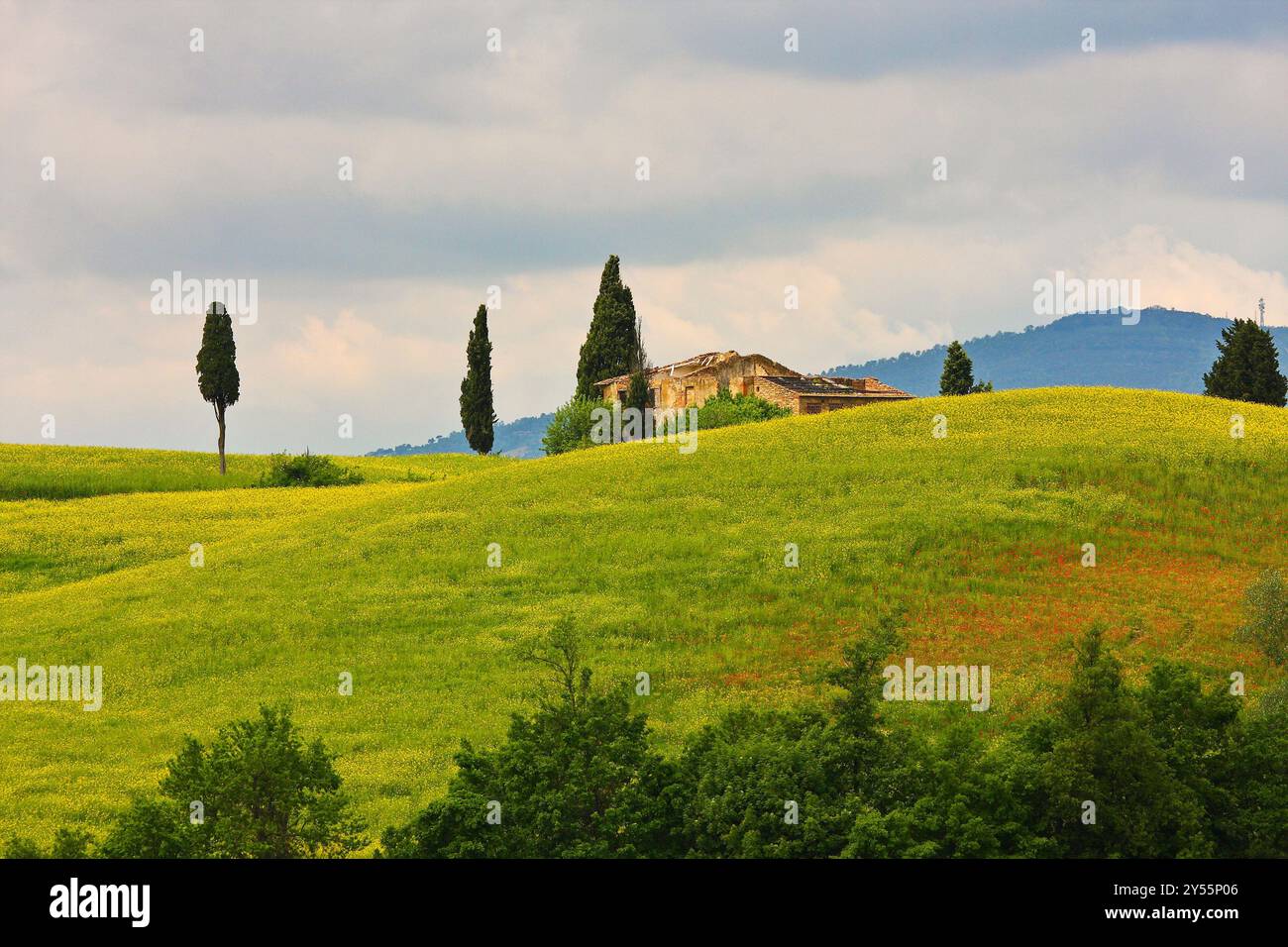 The territory of Chianti lies between Florence and Siena, west of Val ...