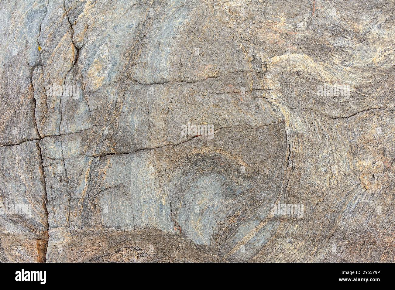 The surface features unique swirls and lines, showcasing nature's ...