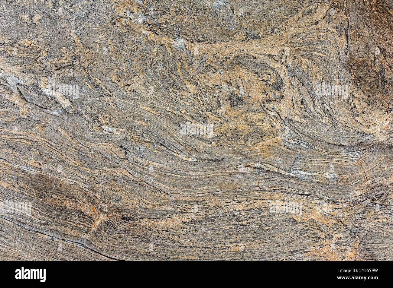 An Intricate Rock Surface Showcases Wavy Patterns And Diverse Earth Tones Under Natural Light