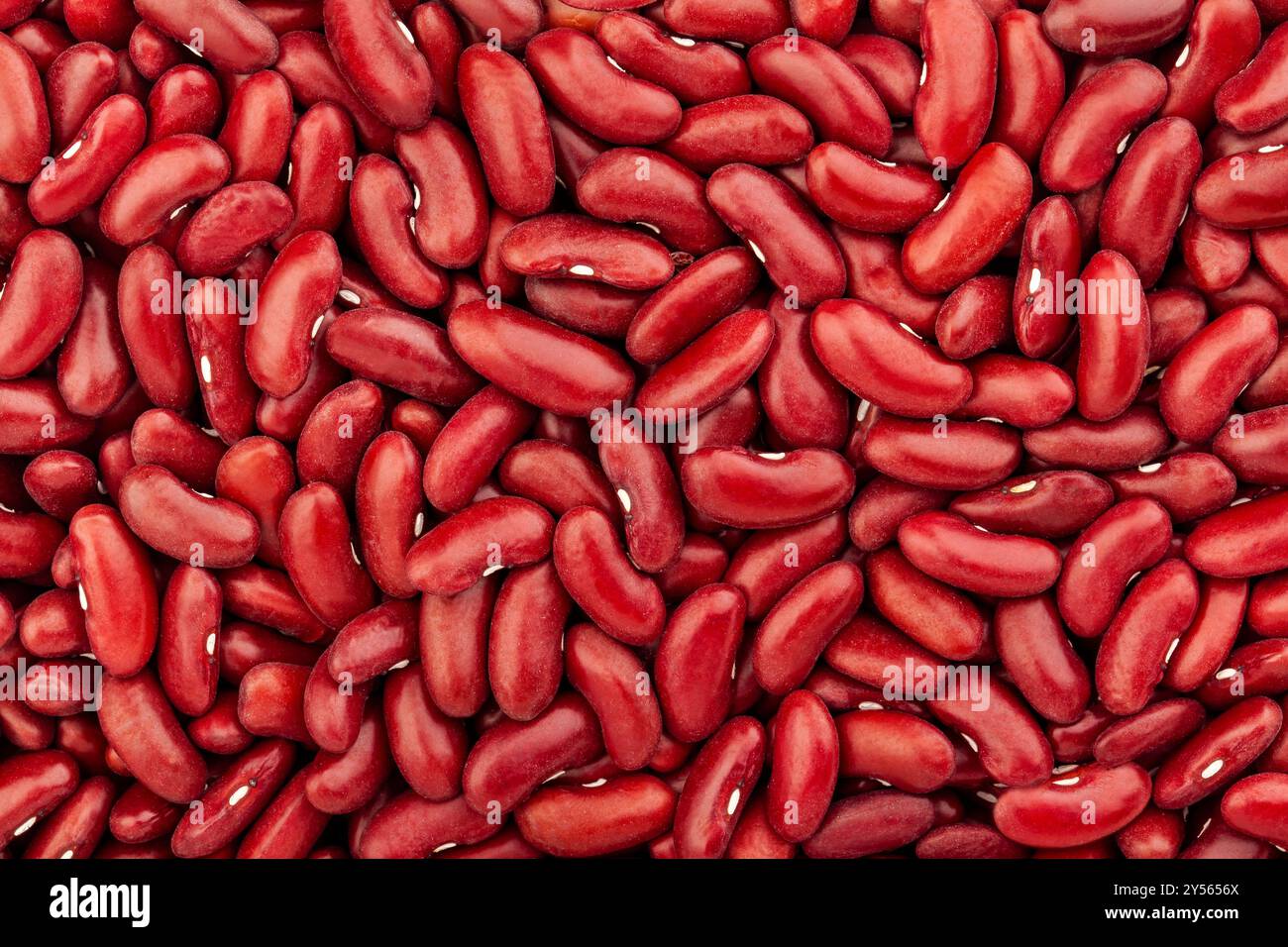 red kidney bean texture top view Stock Photo - Alamy