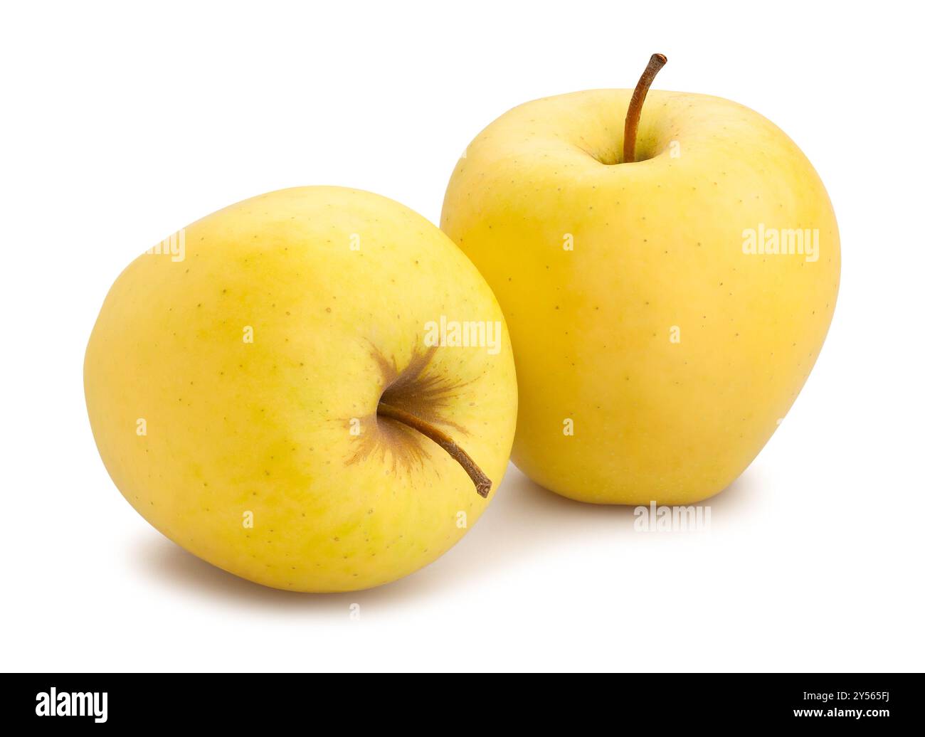 Golden apple fruit hi-res stock photography and images - Alamy