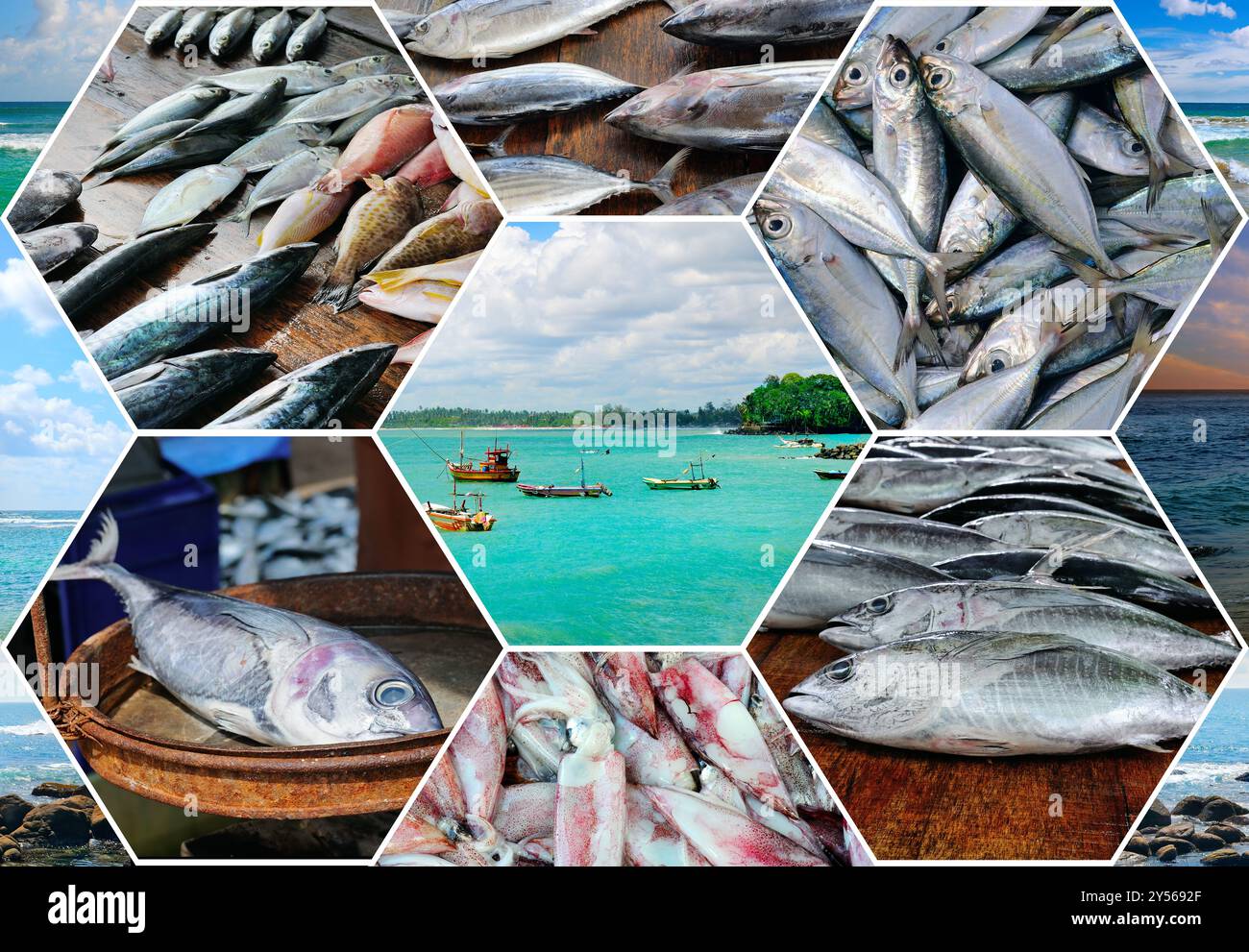 Fisheries on the coast of Sri Lanka. Photo collage Stock Photo - Alamy