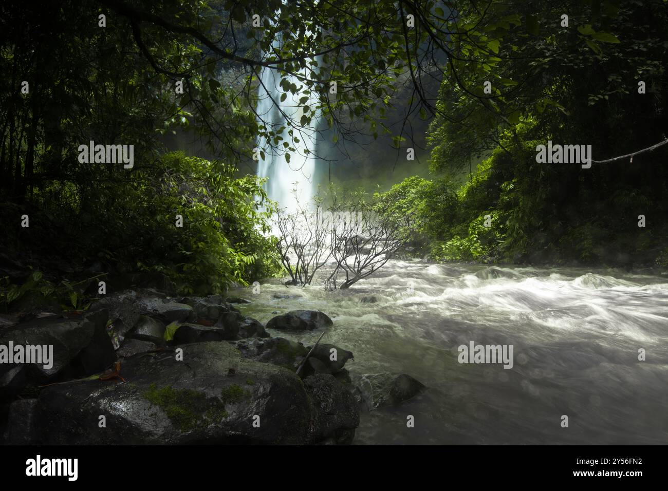 Into the wild Stock Photo - Alamy
