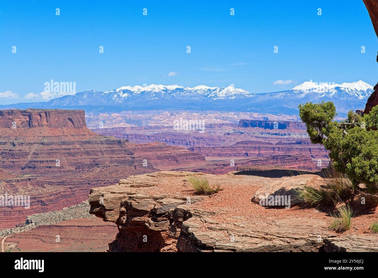Colorful mesas across Colorado River basin of Canyonlands National Park ...