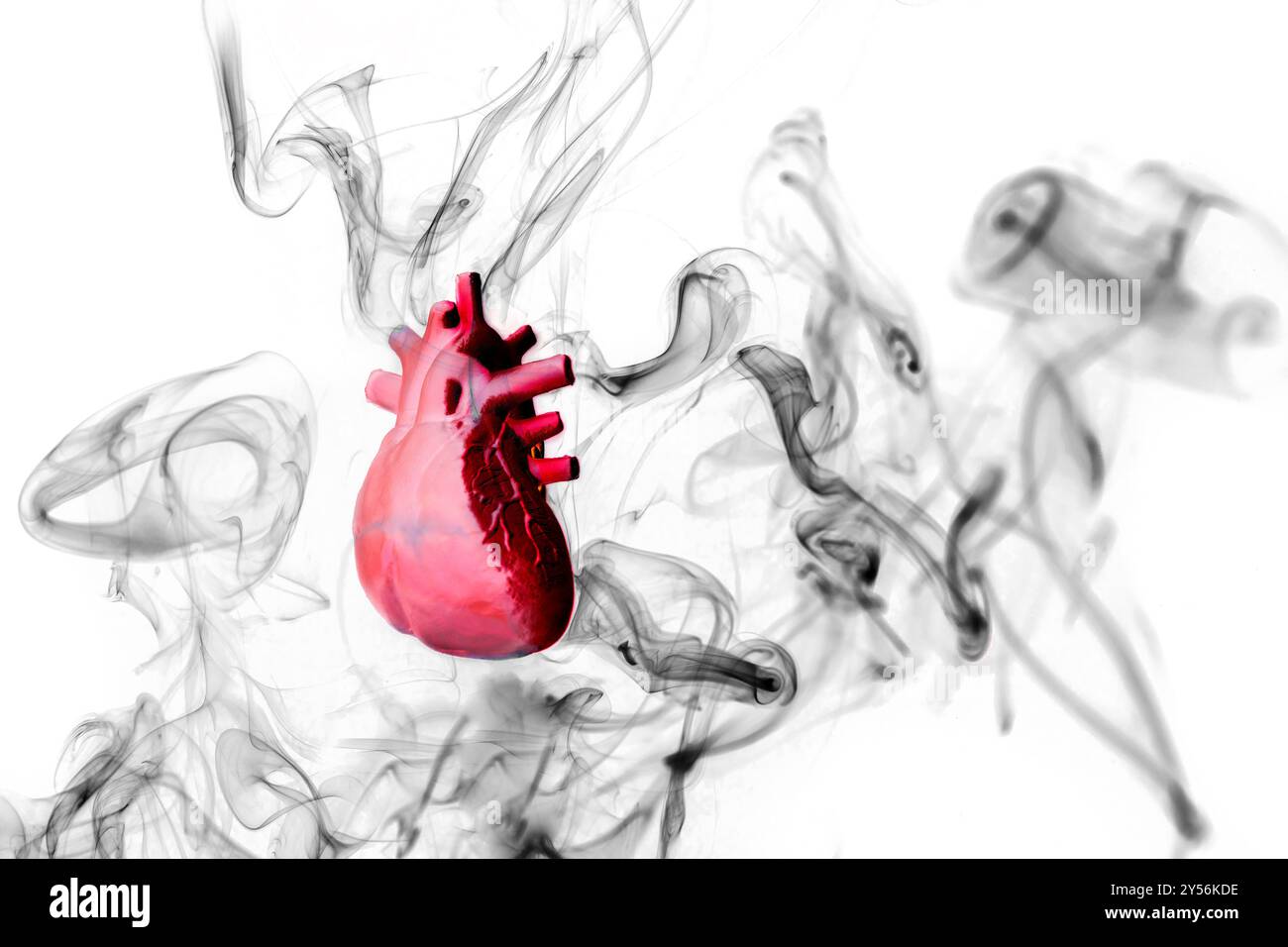 Detailed human heart model surrounded by gray smoke on white background ...
