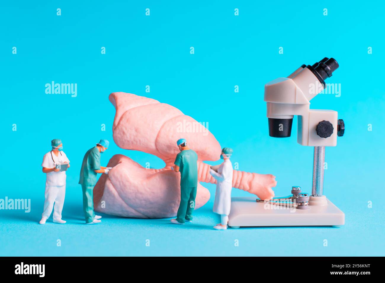 Medical team examining model lungs using a microscope in a laboratory ...