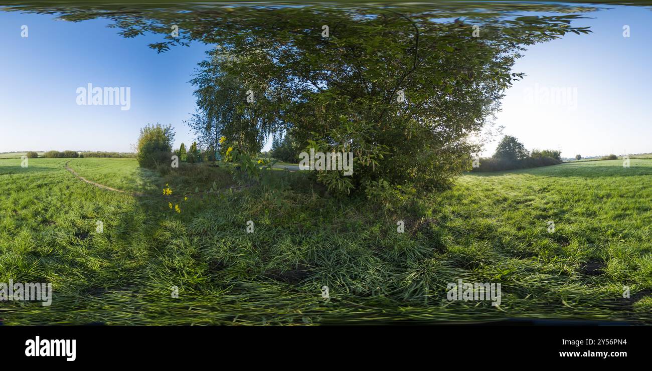 Landscape Of A Green Meadow With Trees Basking In The Sun, Forming A ...
