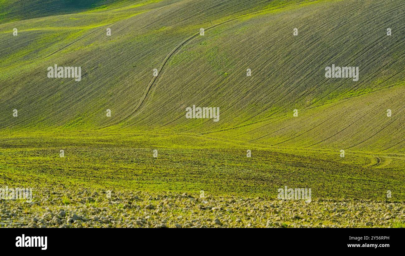 Landscape hills and vineyards of Brolio Castle on the Eroica route ...