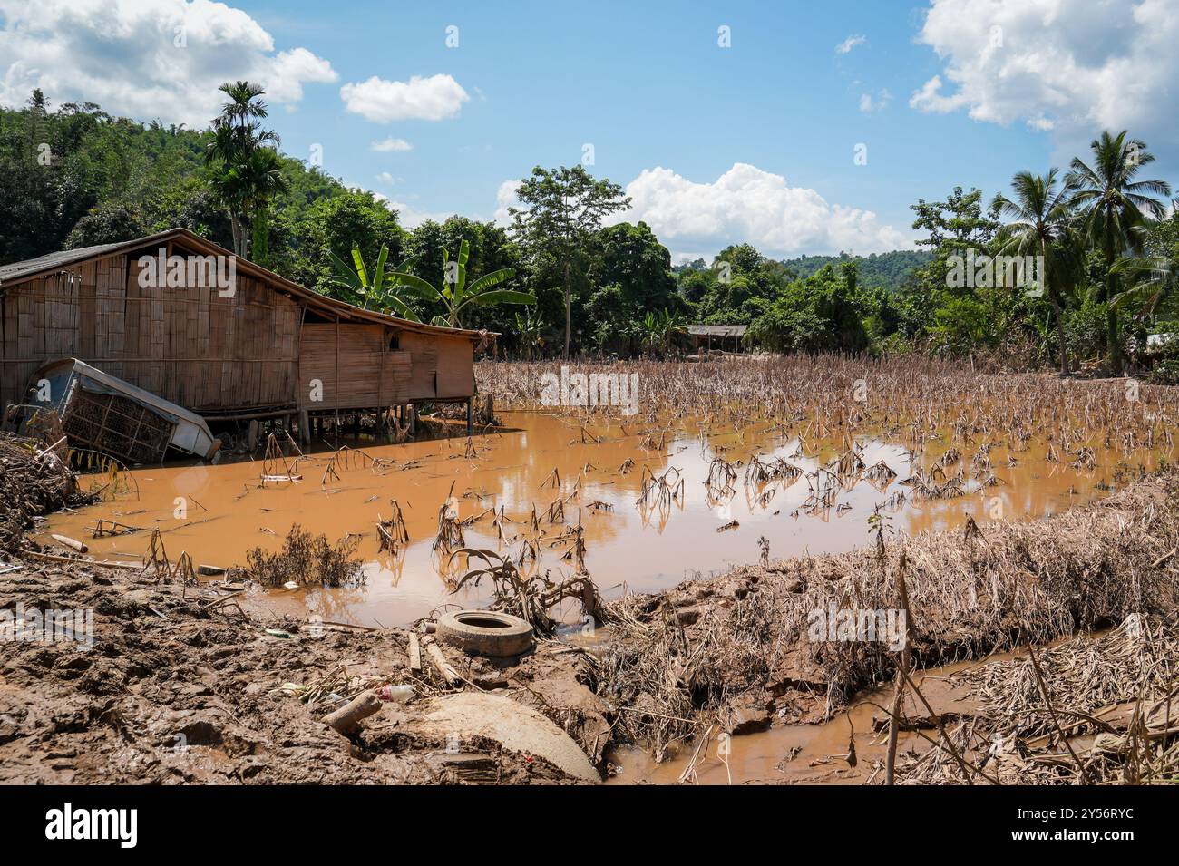 A view of a house surrounded by corn field covered by mud, after the ...