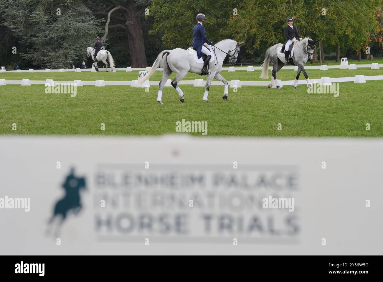 Zara Tindall rides her horse Classicals Euro Star at the Blenheim ...