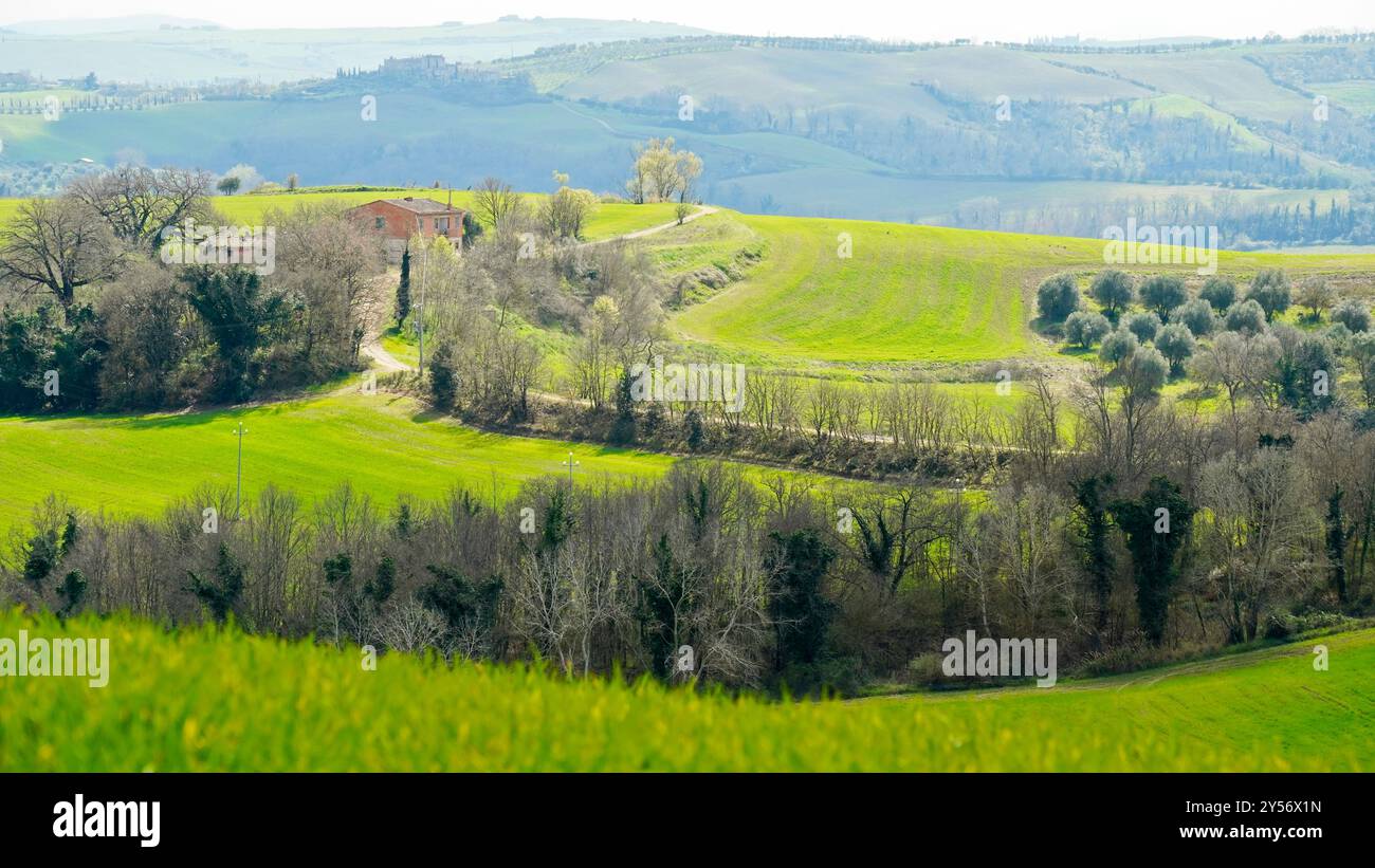 Landscape hills and vineyards of Brolio Castle on the Eroica route ...