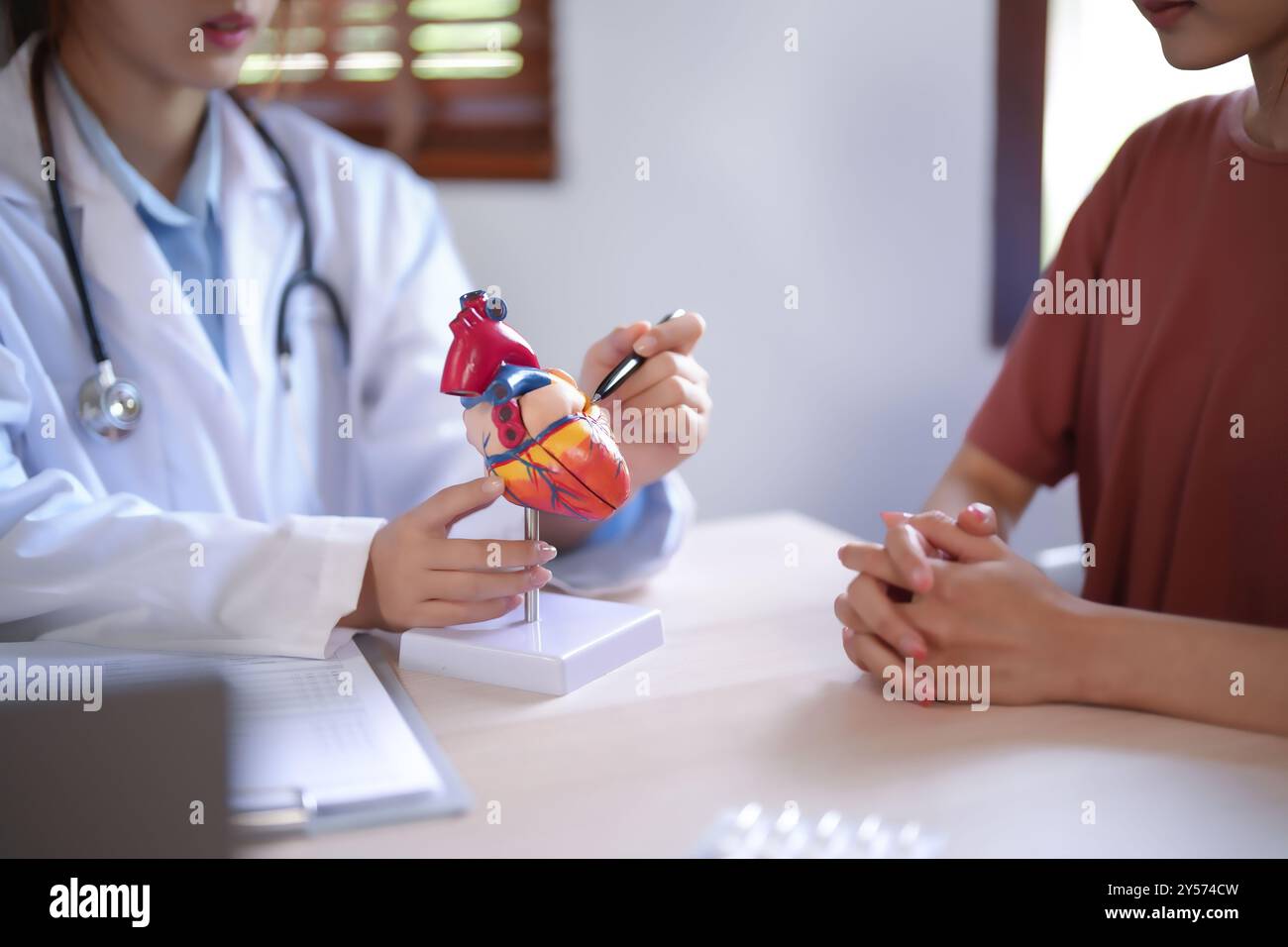 Asian cardiologist doctor women explaining about anatomical of human ...