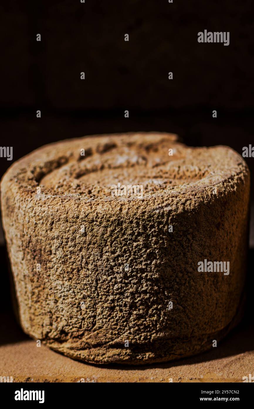 Castelmagno, the King of cheeses, quietly aging in it's cellars Stock ...