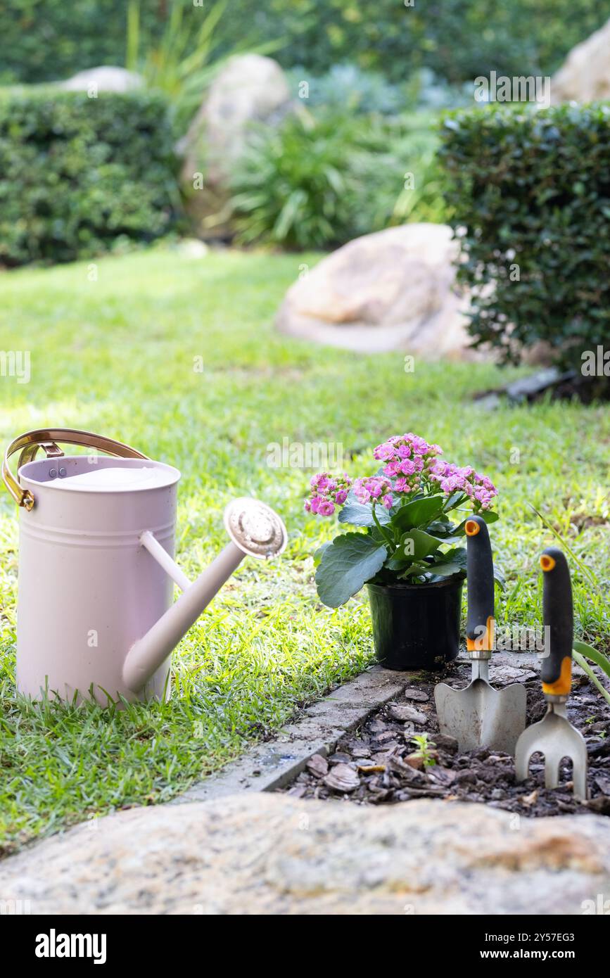 Watering can and gardening tools next to potted flowers in garden Stock ...