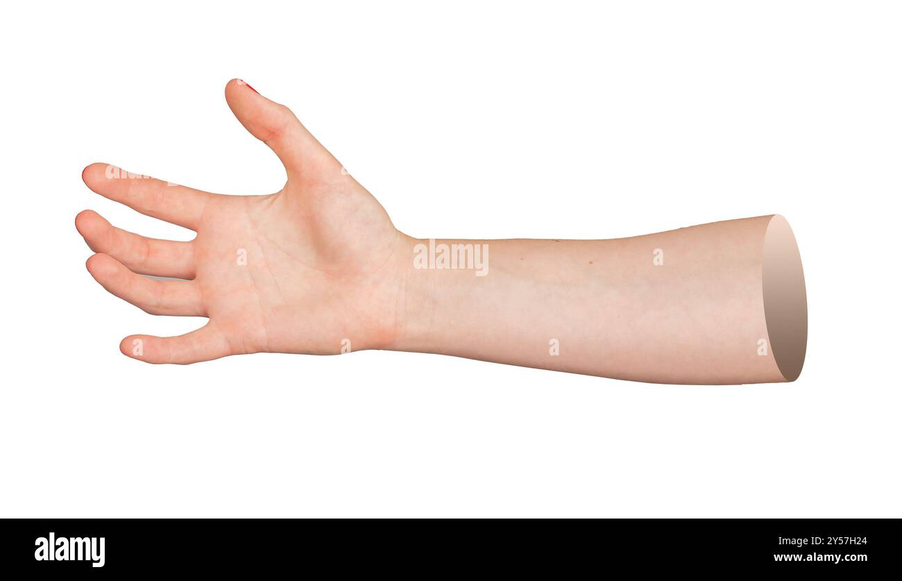 Woman s hand reaching out to grab or hold something, isolated on white ...