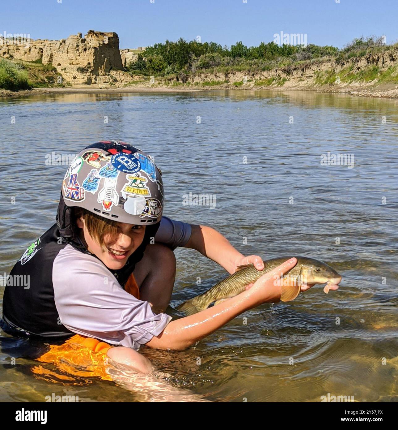 Longnose Sucker (Catostomus catostomus) Actinopterygii Stock Photo - Alamy