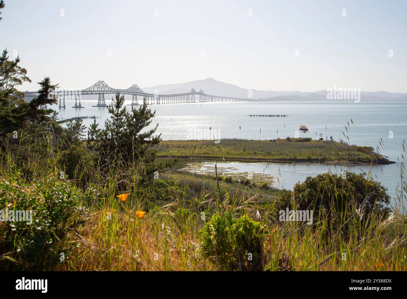 View of upper San Francisco Bay from Point Molate, Richmond, showing ...