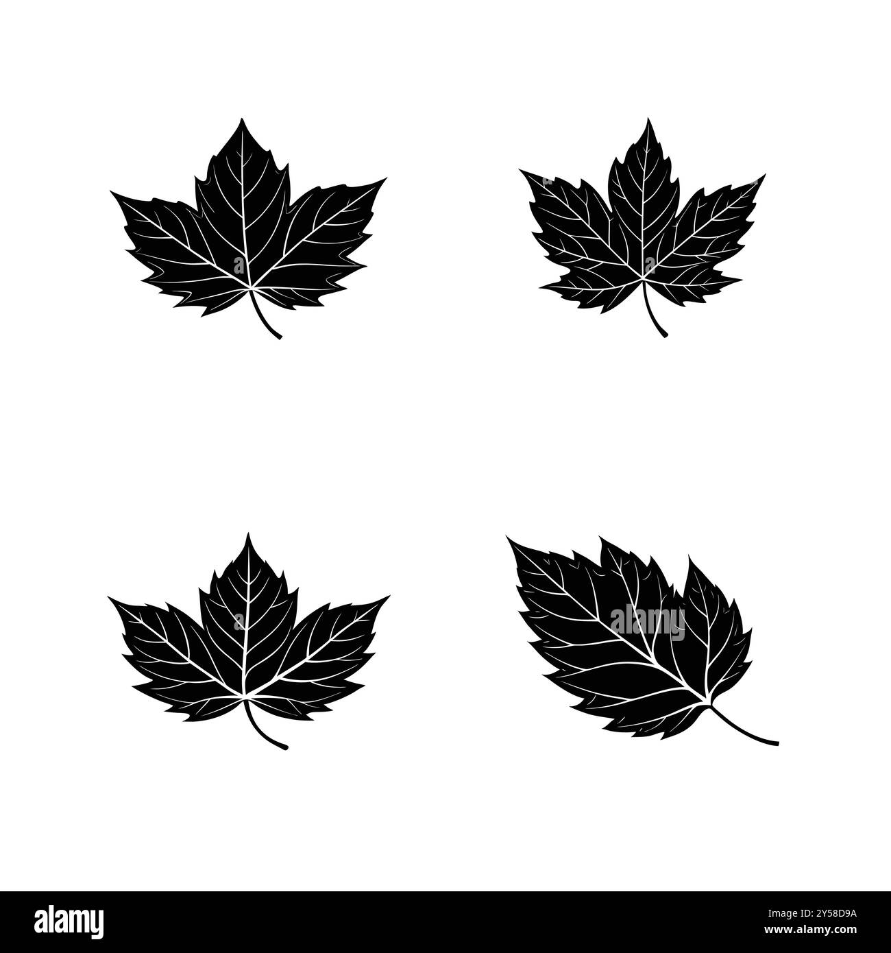 autumn single leaves silhouette vector illustration Stock Vector Image ...