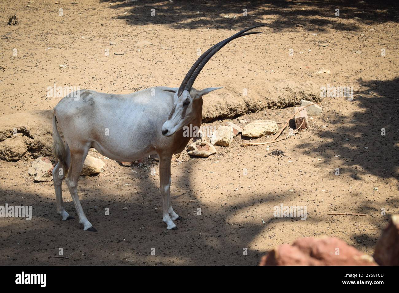 Zoo with animals in natural hi-res stock photography and images - Alamy